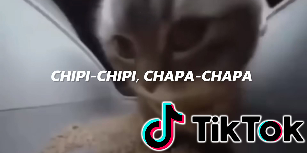 "Chipi chipi chapa chapa": el origen de la canción viral de TikTok